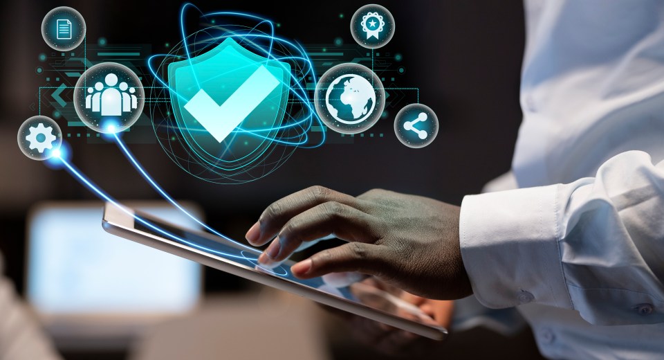 Private Sector's Growing Role In Policing Crypto Frontier - BW Security ...