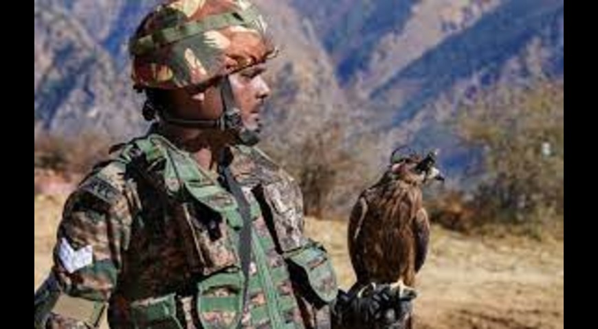 Indian Army Utilising Kites To Counter Drones, Surveillance - BW ...